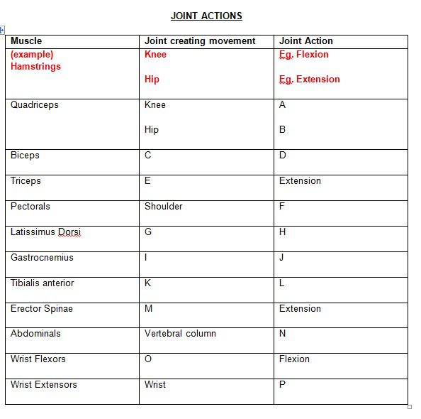 joint actions Q – Global Fitness Institute