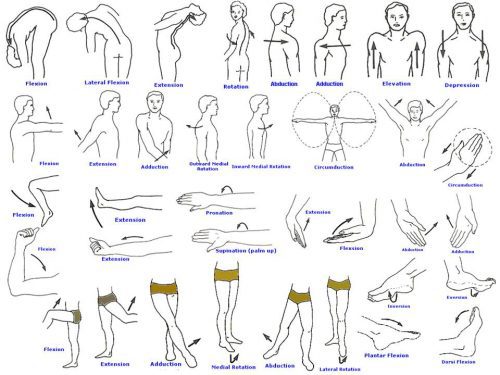 movement types – Global Fitness Institute