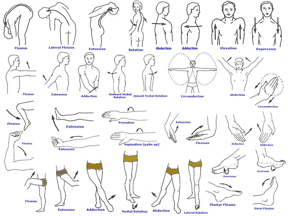 movement types – Global Fitness Institute