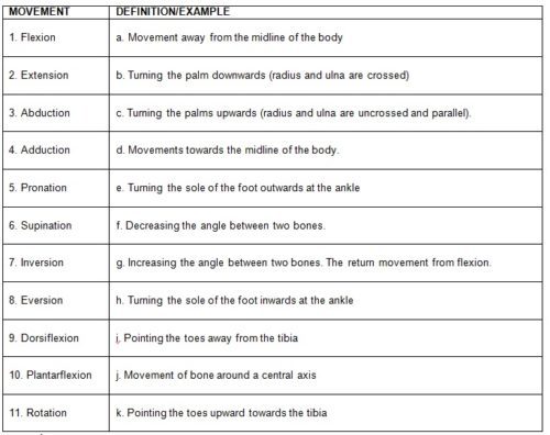 joint-actions – Global Fitness Institute