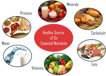 Nutrition Level 1 – Global Fitness Institute